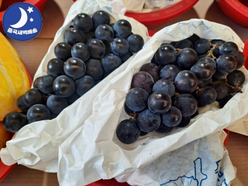 [중곡새벽배송]캠밸포도(1BOX,3kg) - 빈손장보기
